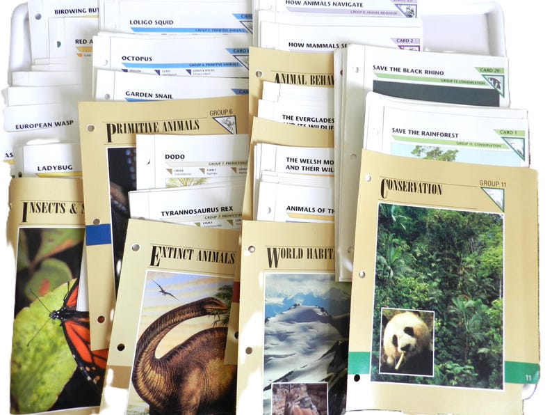 1991 Wildlife Fact File Cards - Etsy