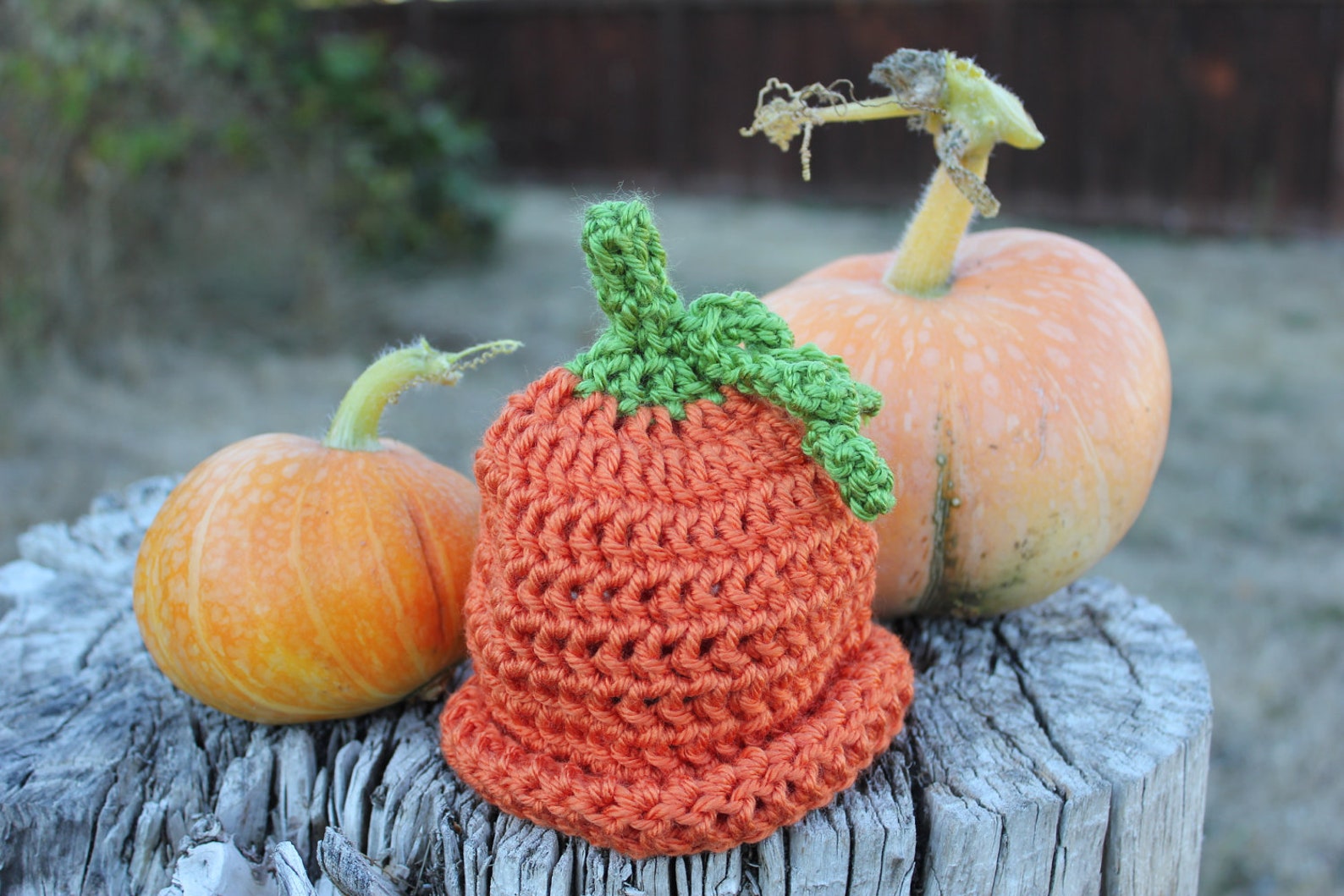Ready to Ship Pumpkin Hat Fall Pumpkin Hat Toddler Pumpkin Hat | Etsy