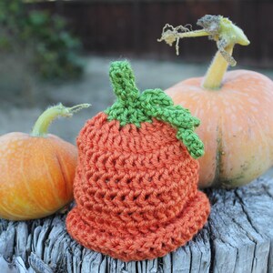 Ready to Ship Pumpkin Hat Fall Pumpkin Hat Toddler Pumpkin Hat | Etsy