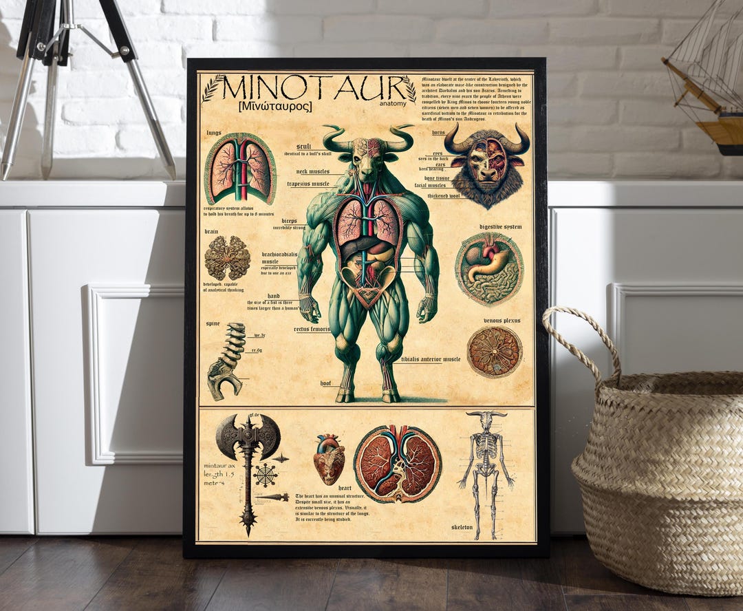 Minotaur Anatomy, Original Drawing, Fantasy Art Print, Medieval ...