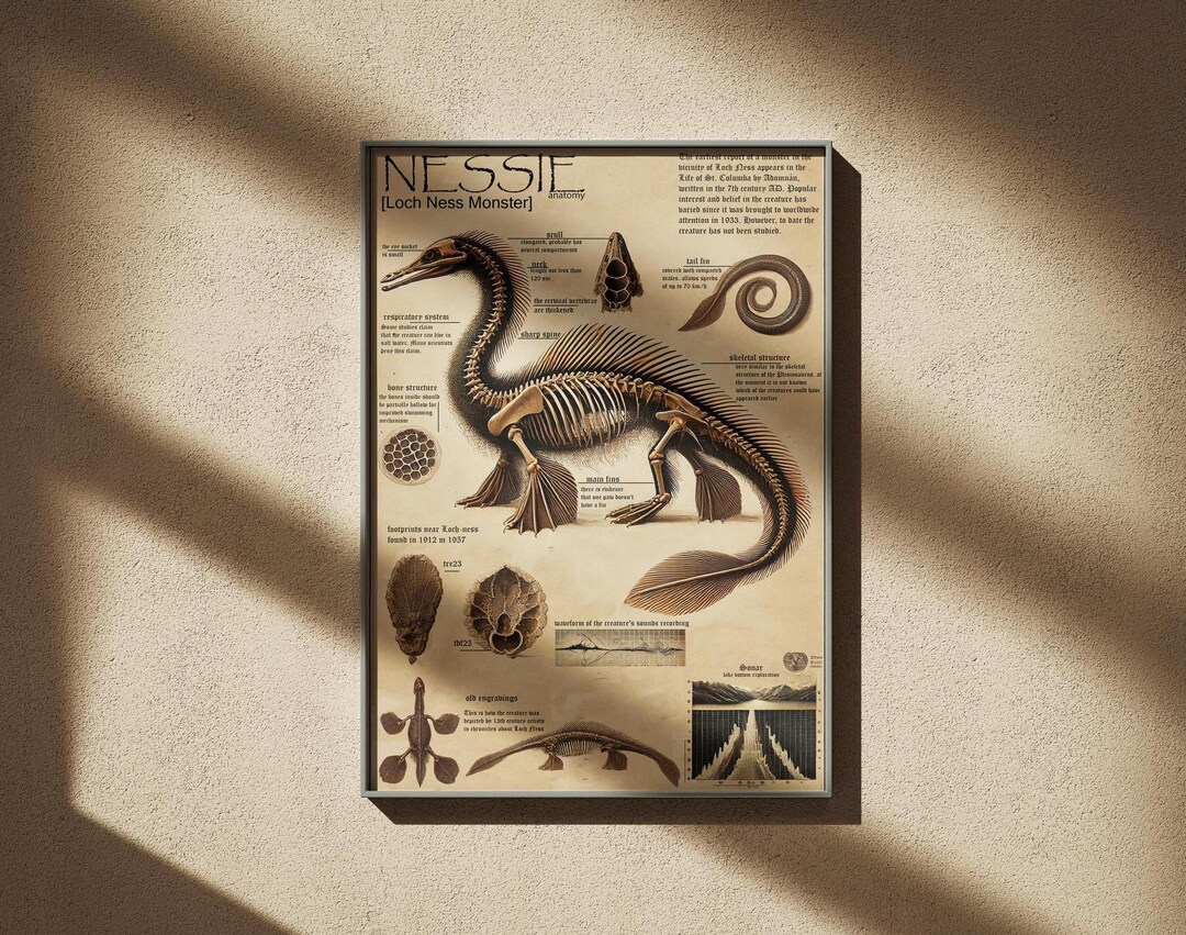 Nessie Anatomy, Original Drawing, Fantasy Art Print, Medieval Mythical ...
