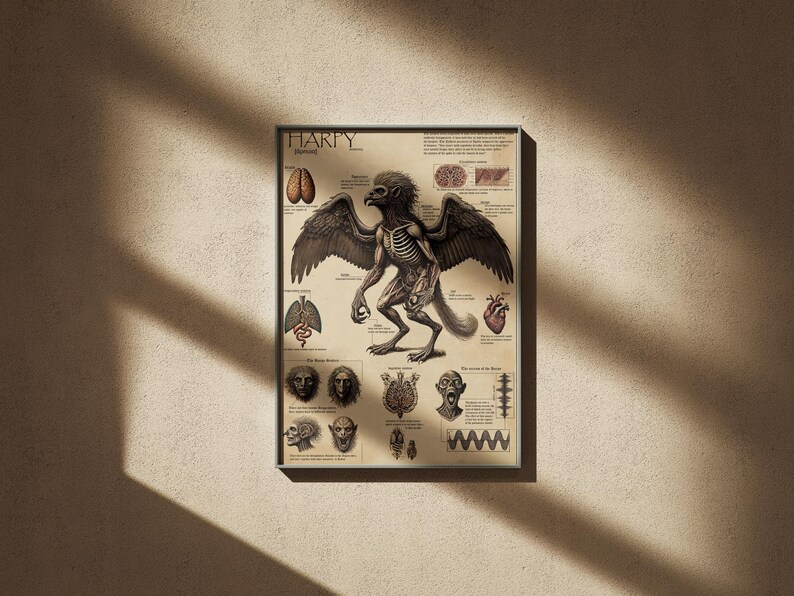 Harpy Anatomy Print, Medieval Mythical Creature Poster, Gothic Room ...
