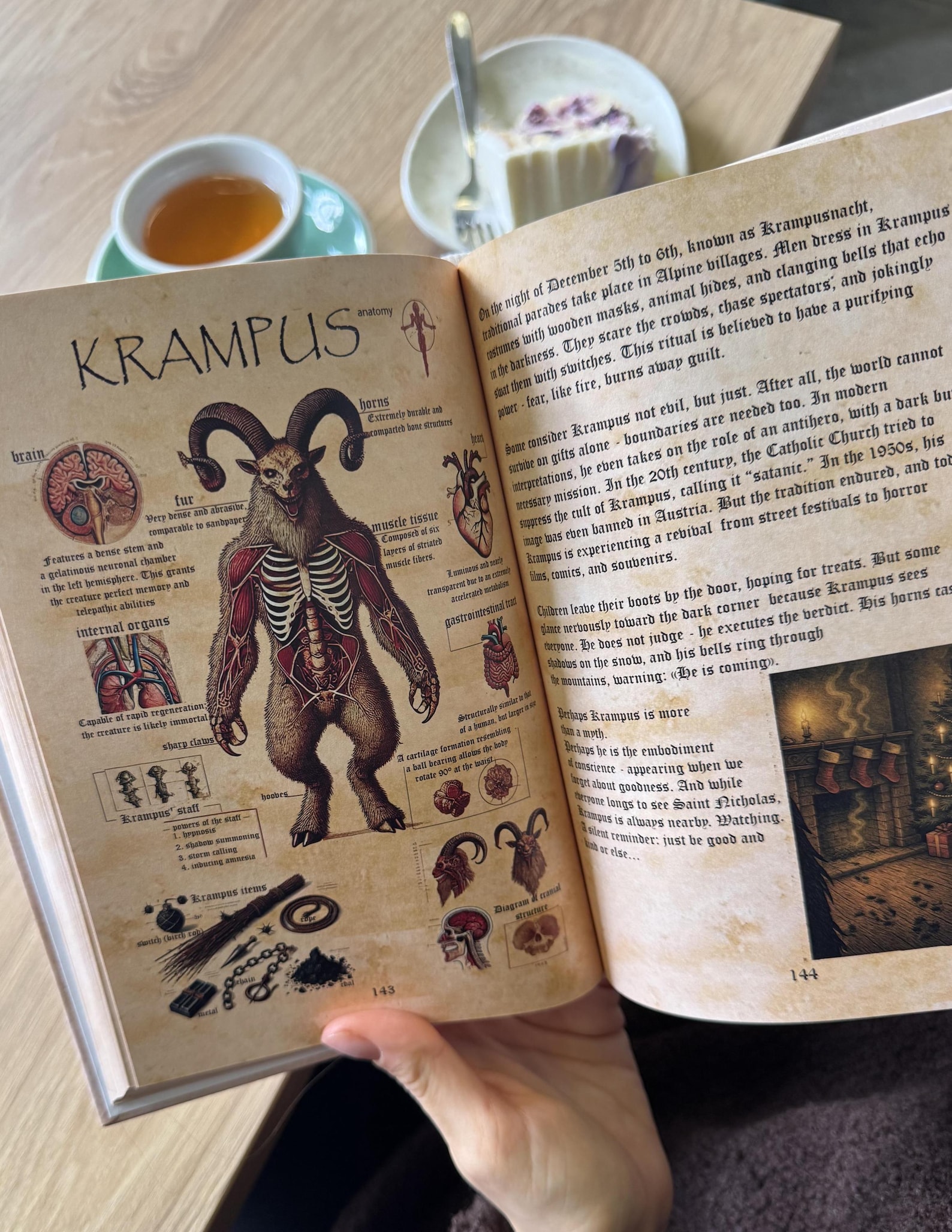 Unique Anatomical Encyclopedia, Illustrated Book of Mythical Creatures ...
