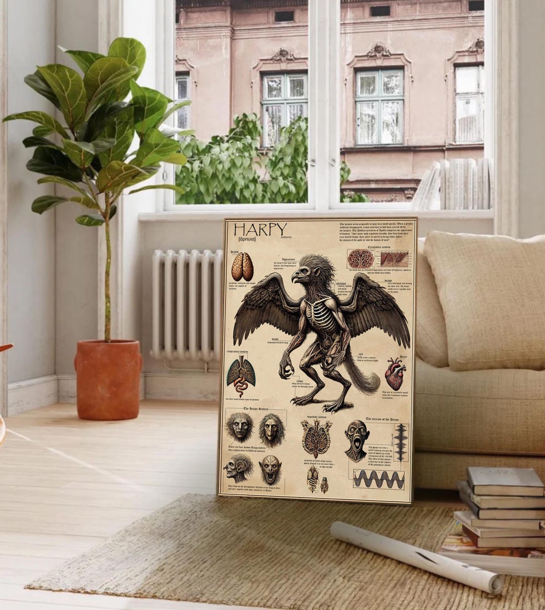 Harpy Anatomy Print, Medieval Mythical Creature Poster, Gothic Room ...