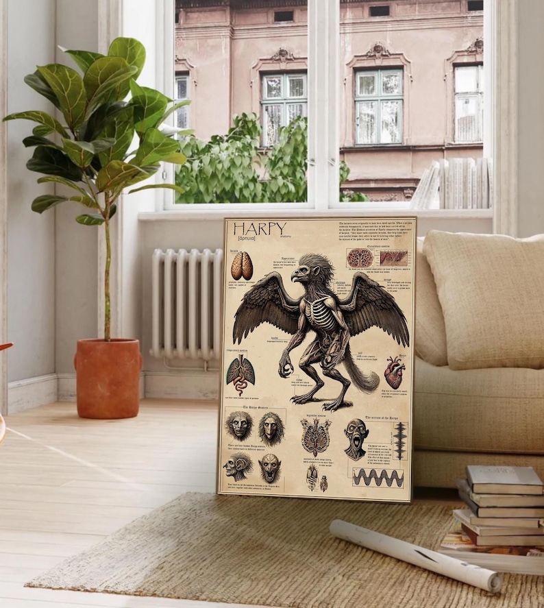 Harpy Anatomy Print, Medieval Mythical Creature Poster, Gothic Room ...