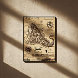 Leviathan Anatomy Print: Medieval Mythical Creature Art - Etsy