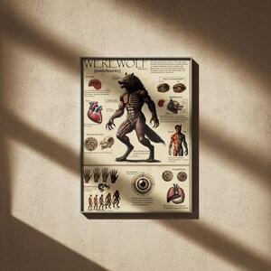 Werewolf Anatomy, Original Drawing, Fantasy Art Print, Medieval ...