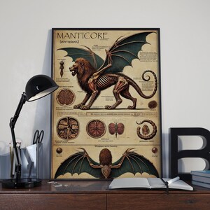 Manticore Anatomy, Original Drawing, Fantasy Art Print, Medieval ...