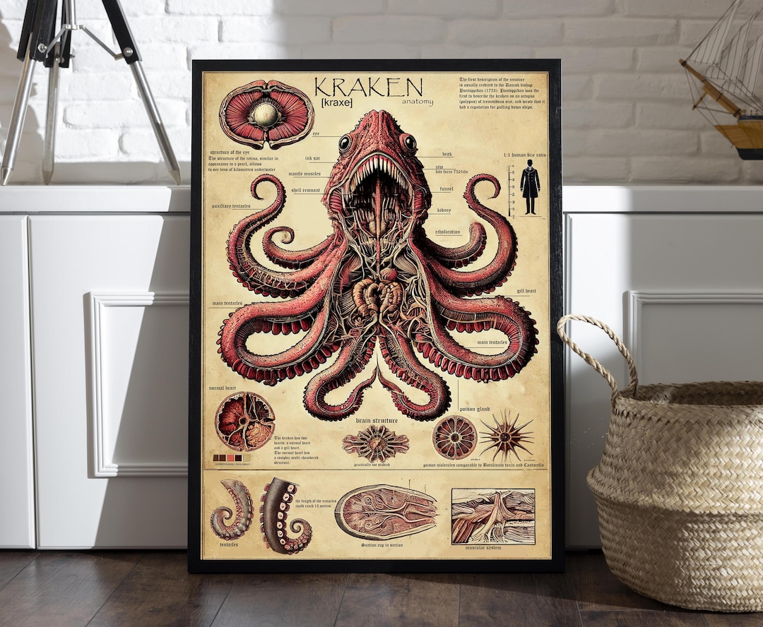 Kraken Anatomy, Original Drawing, Fantasy Art Print, Medieval Mythical ...