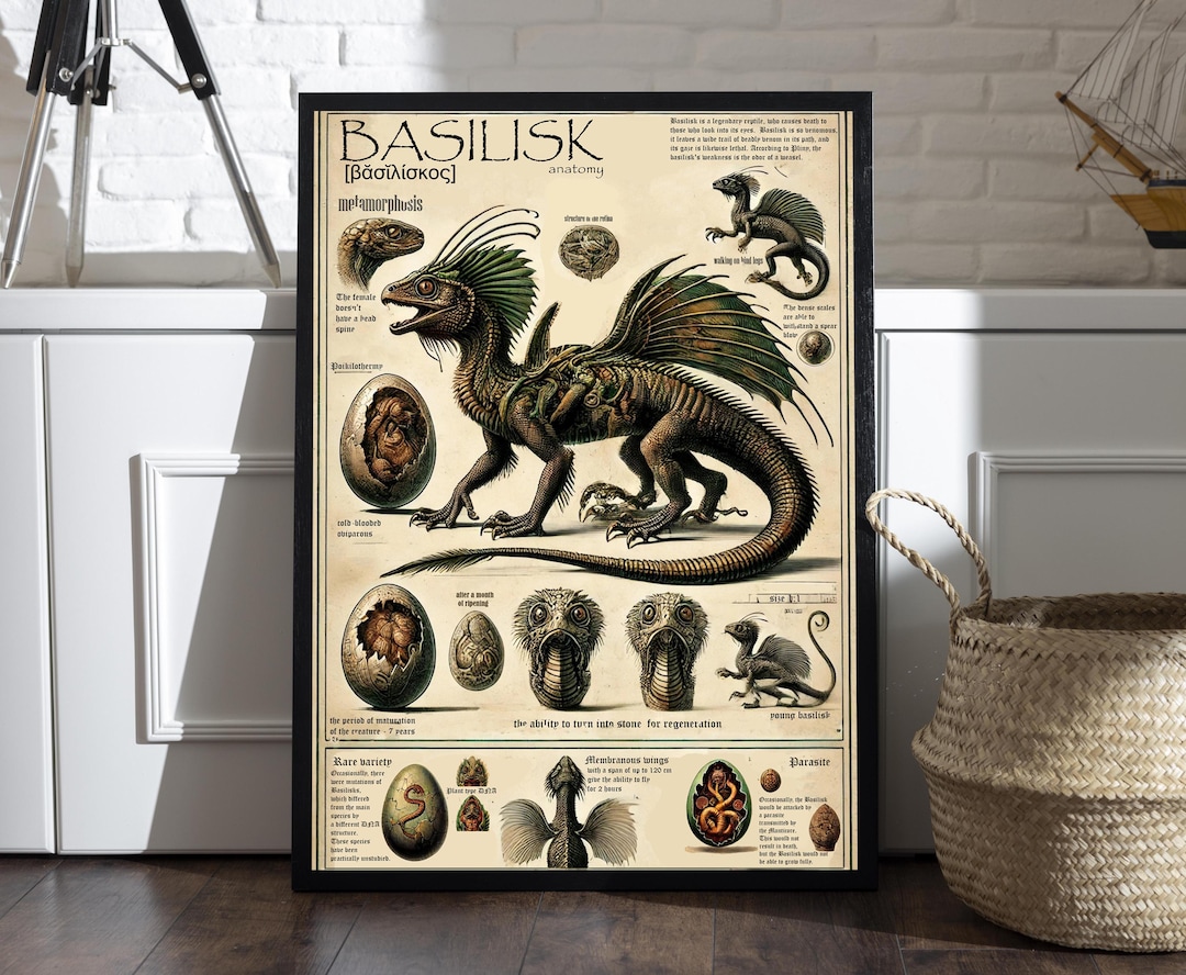 Basilisk Anatomy, Original Drawing, Fantasy Art Print, Medieval ...