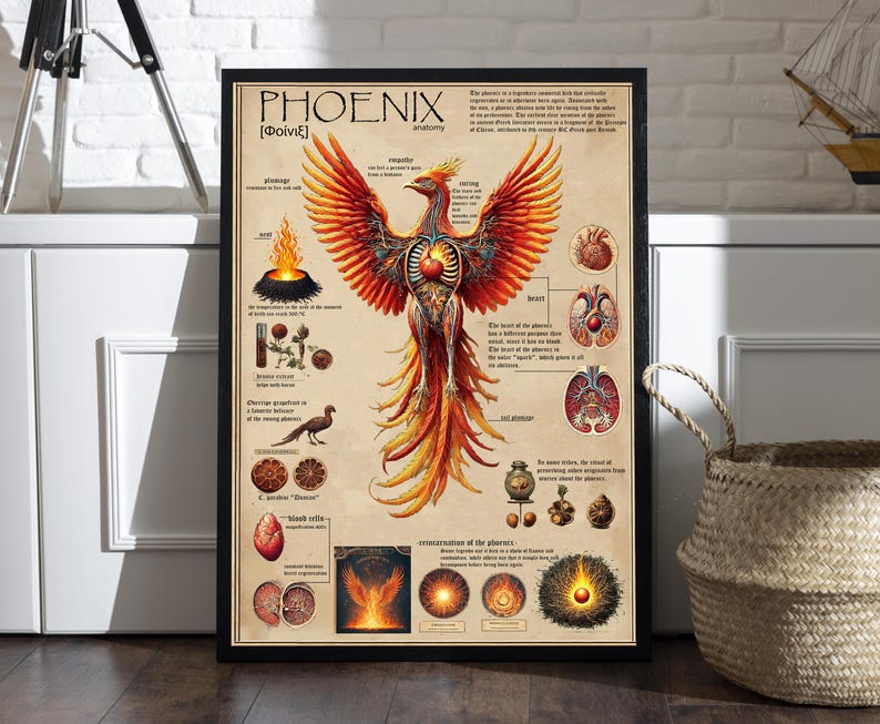 Phoenix Anatomy, Original Drawing, Fantasy Art Print, Medieval Mythical ...