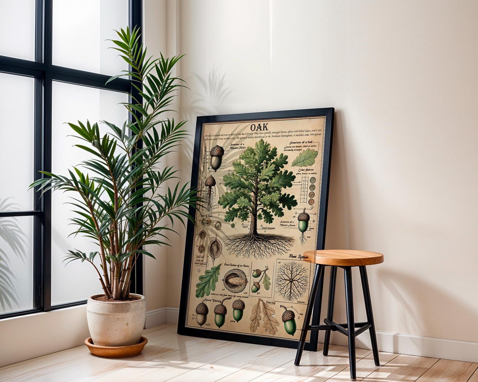Oak Tree Anatomy Poster, Plant Illustration, Botanical Art Print ...