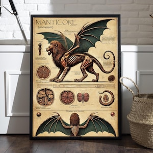 Manticore Anatomy, Original Drawing, Fantasy Art Print, Medieval ...