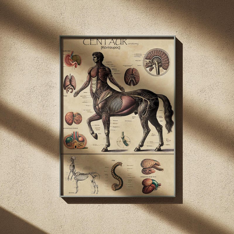Centaur - Etsy