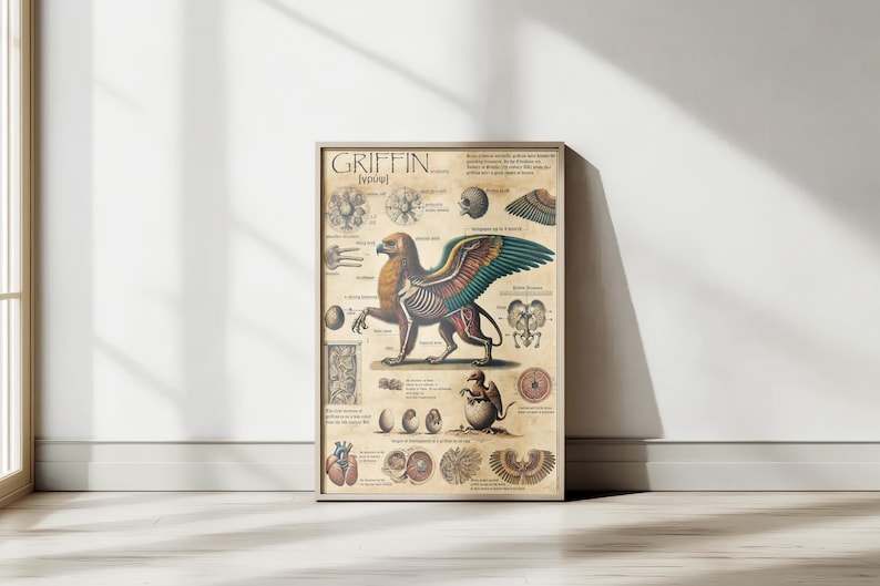 Griffin Anatomy, Original Drawing, Fantasy Art Print, Medieval Mythical ...