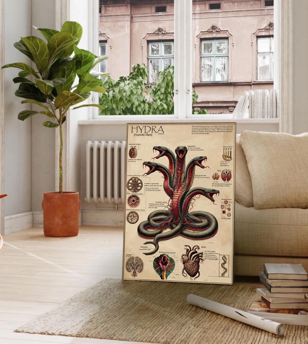 Hydra Anatomy Print, Medieval Mythical Creature Art - Etsy