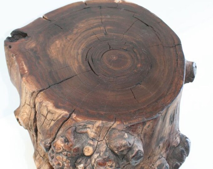 Walnut Tree Stump Stool Table Footstool Seat - Etsy