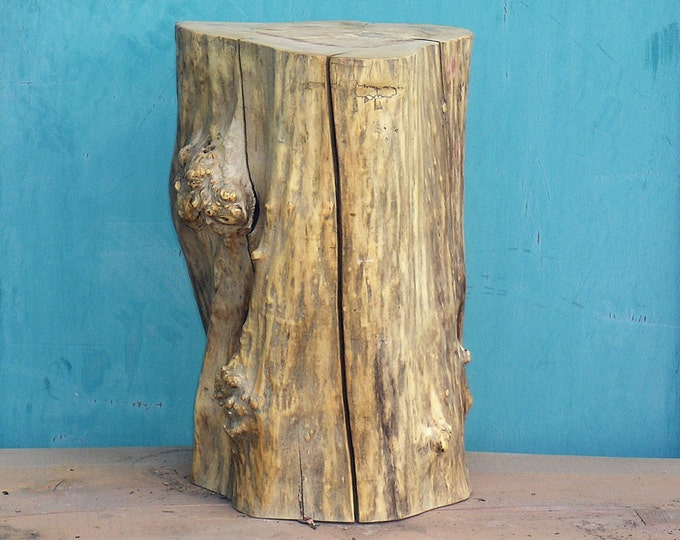Boxelder Tree Stump Table - Etsy
