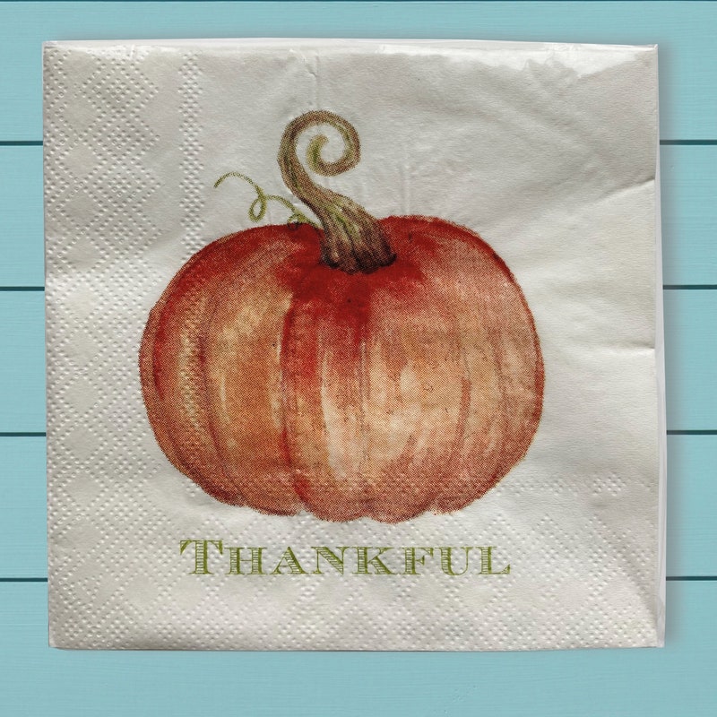 Thanksgiving Snack Napkins - Etsy