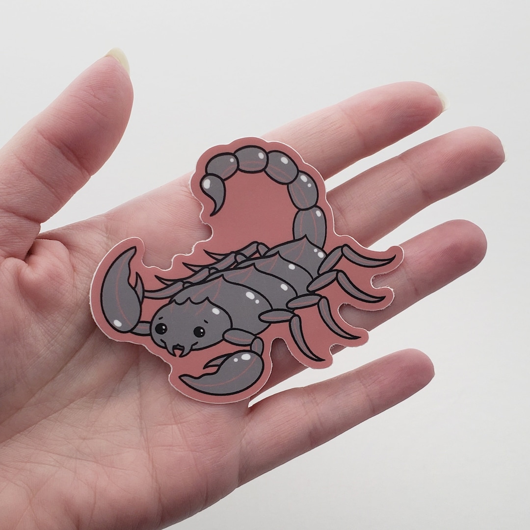 Cute Scorpion Vinyl Sticker - Etsy