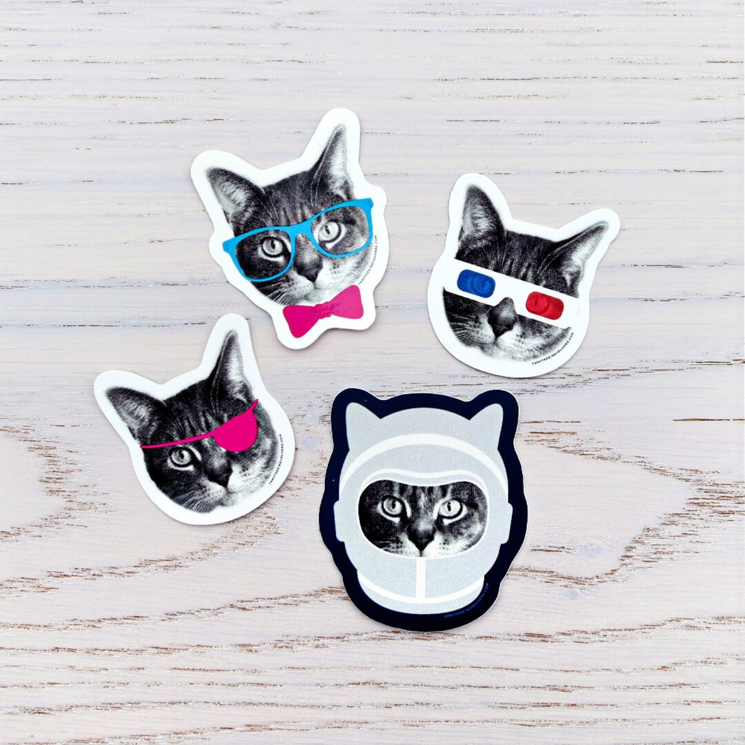 Gee Whiskers Stickers - Cat Stickers - Kitty Stickers - Etsy