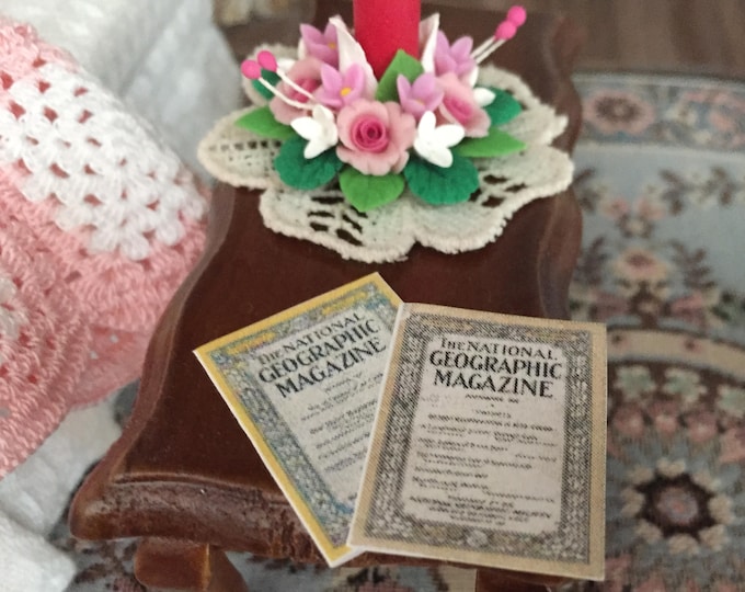 Miniature Geographic Magazines, Set of 2, Advertising on Back ...