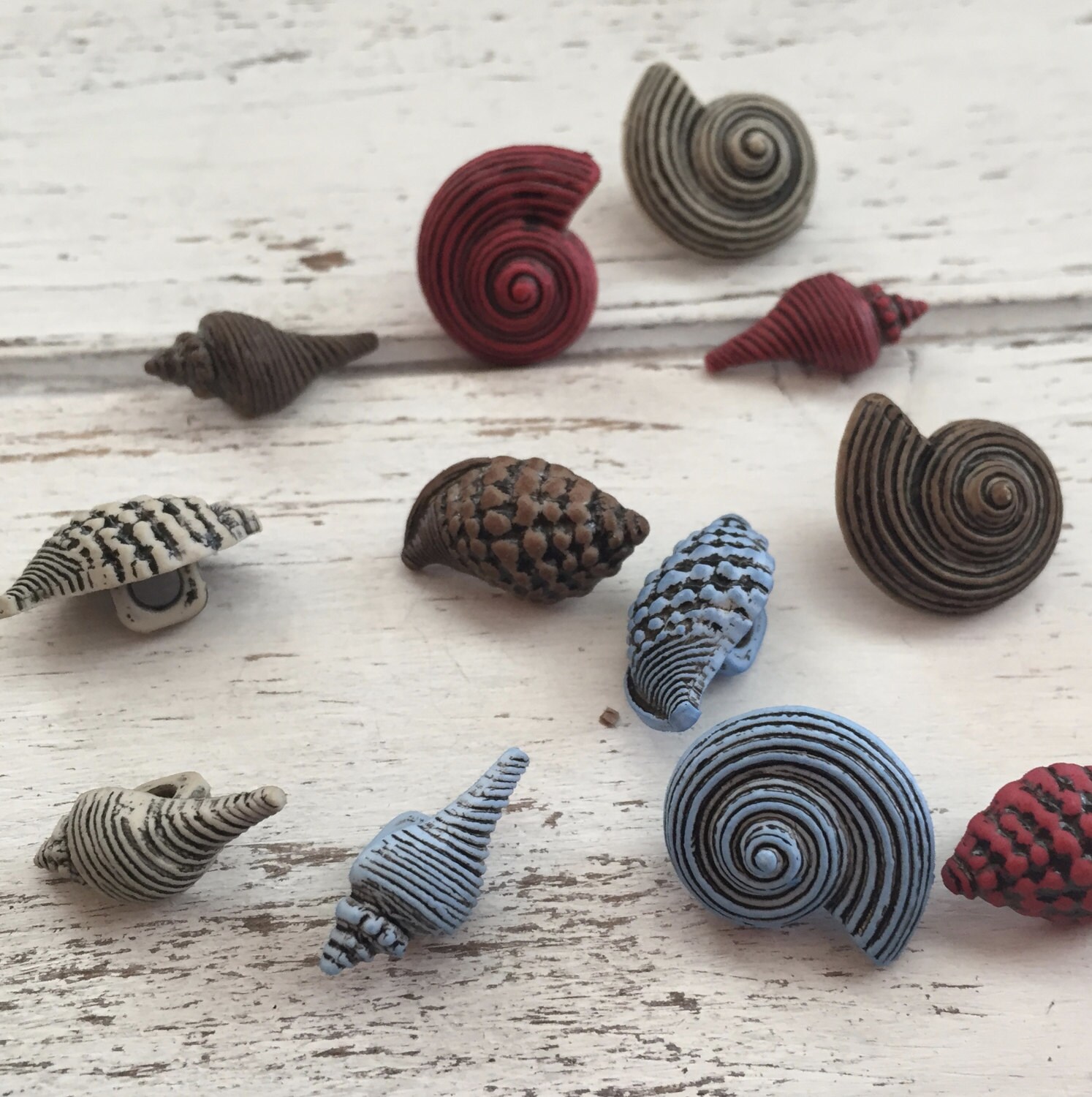 Seashell Buttons Packaged Novelty Buttons | Etsy
