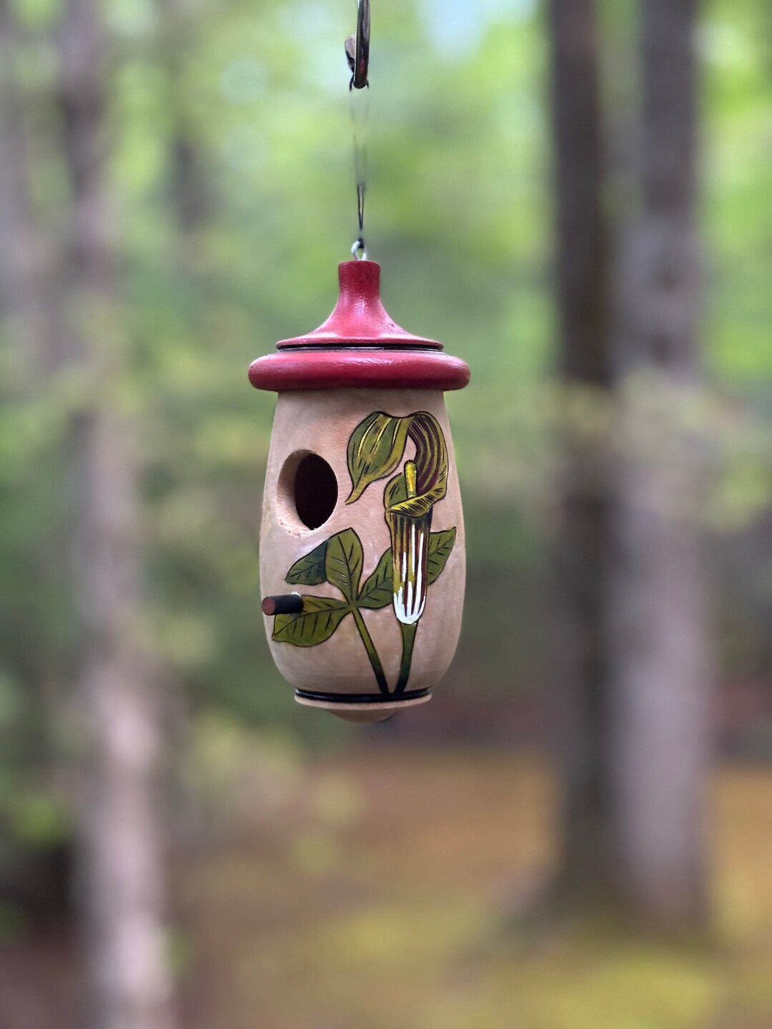 Hummingbird House, Handmade Wooden Birdhouse for Indoor/outdoor Garden ...