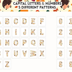 Thanksgiving Bulletin Board Letters and Numbers, Fall Bulletin Board ...