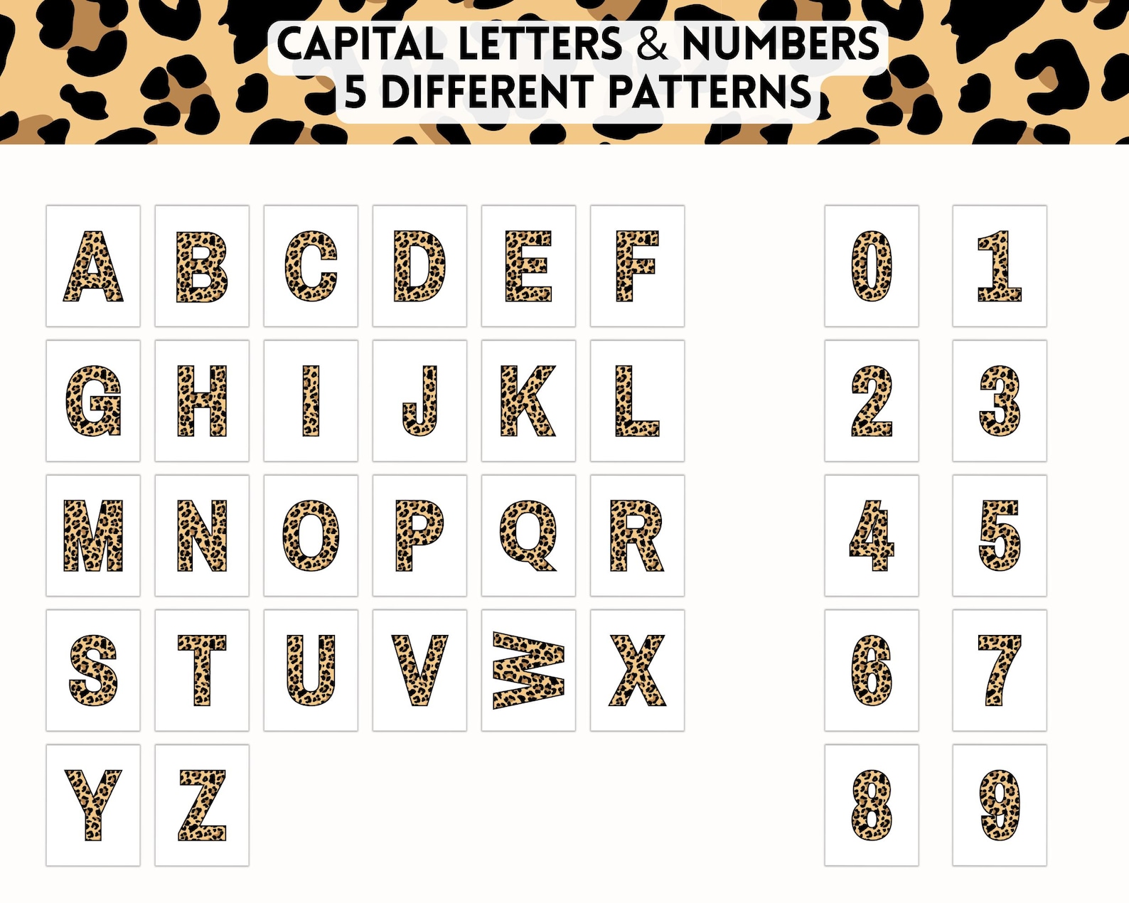 Jungle Bulletin Board Letters and Numbers, Safari Bulletin Board ...