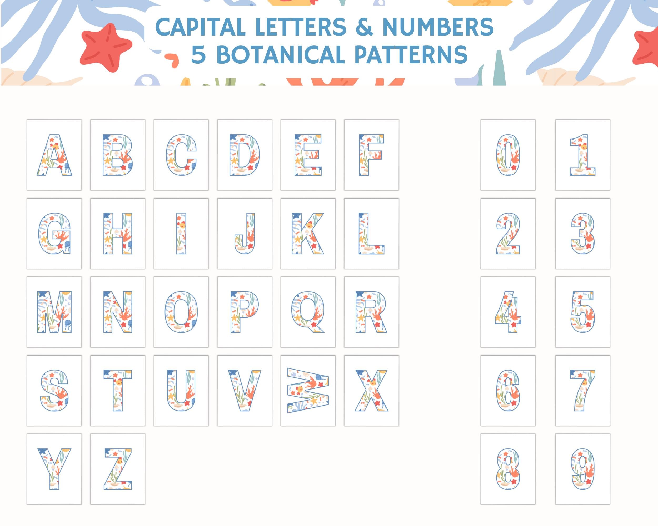 Ocean Bulletin Board Letters and Numbers, Ocean Bulletin Boards, Ocean ...