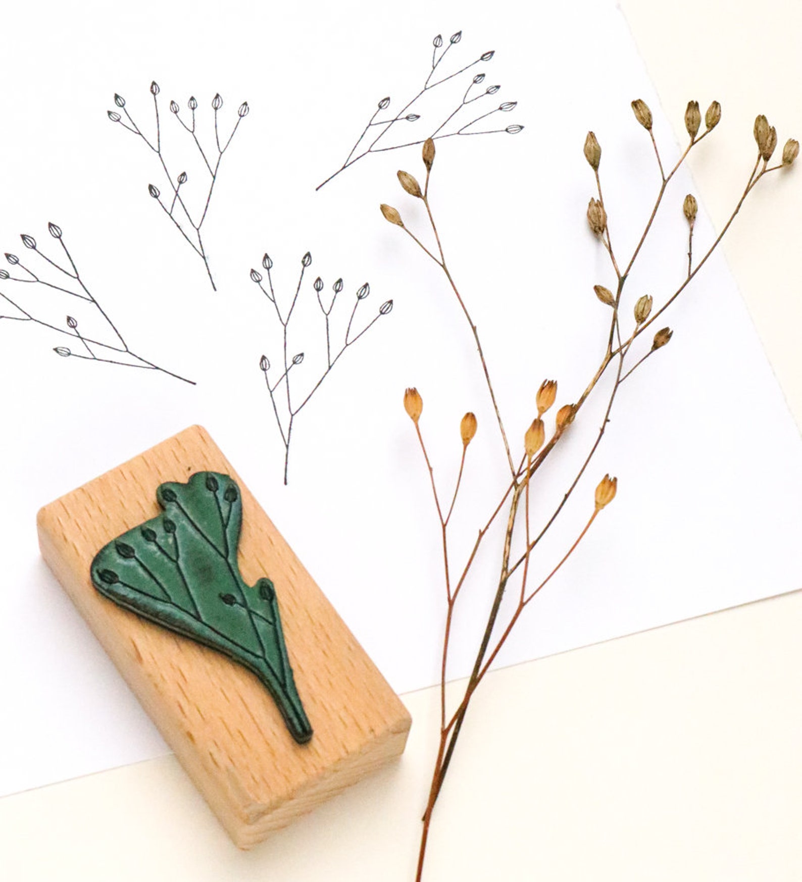 Botany Stamp NIPPLEWORT botanical stamp garden stamp Label | Etsy