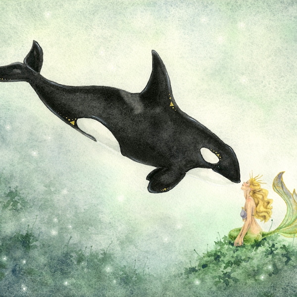 Orca Illustration - Etsy