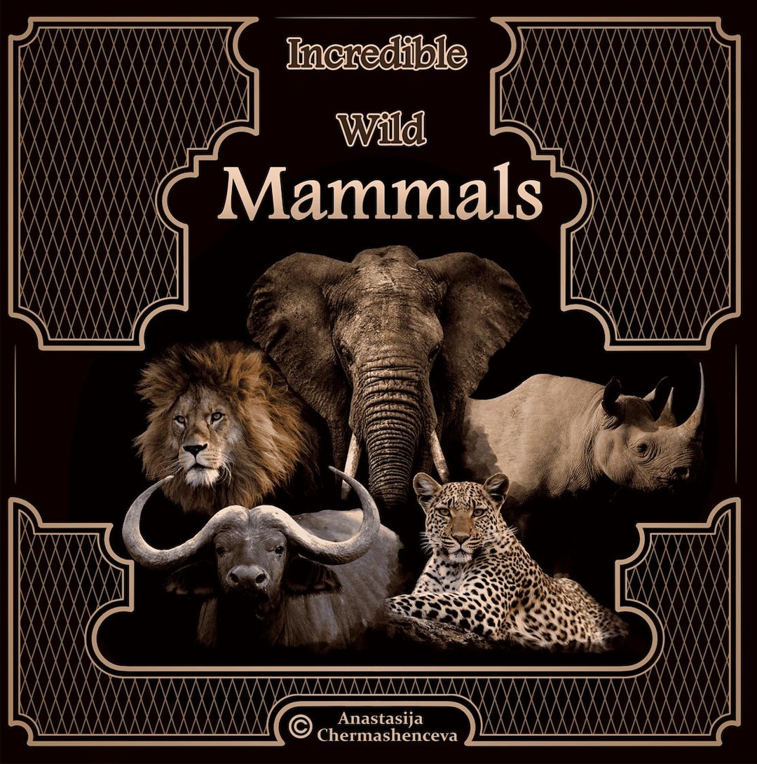 Incredible Wild Mammals |books for Kids Ages 5-10|interesting ...