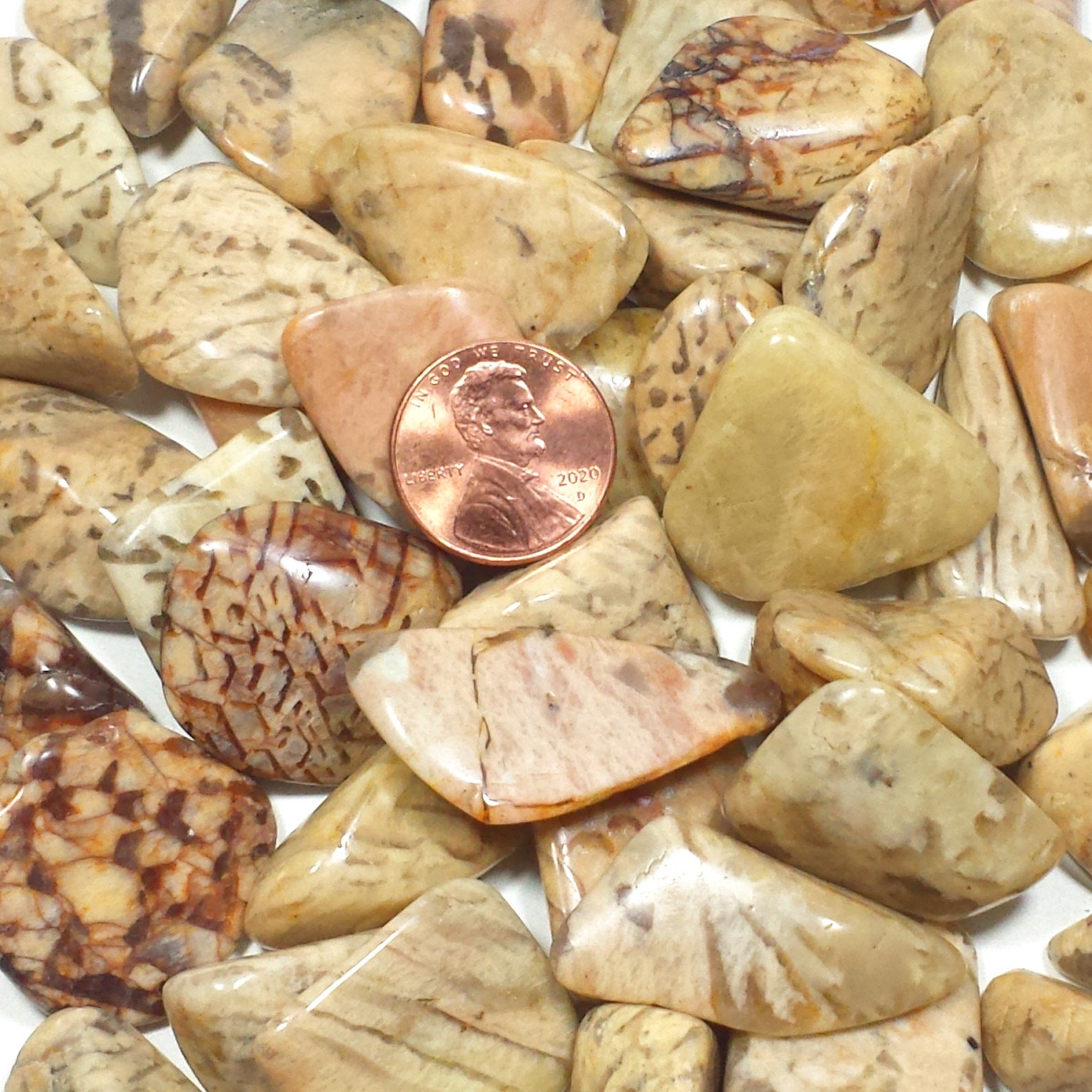 Zebradorite Feldspar Tumbled Polished Crystal Stone 5 Piece - Etsy UK