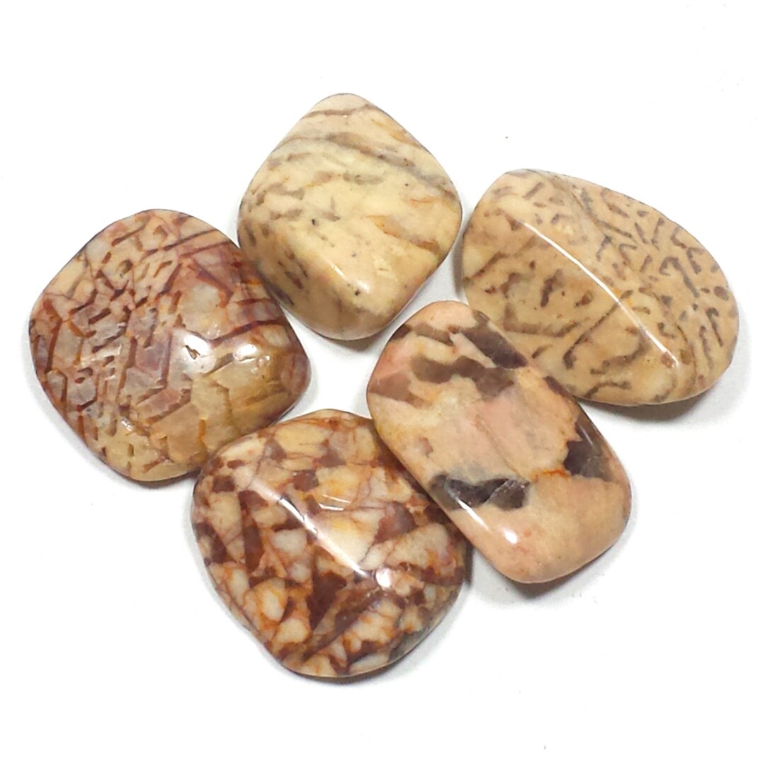 Zebradorite Feldspar Tumbled Polished Crystal Stone, 5 Piece Set, Avg ...