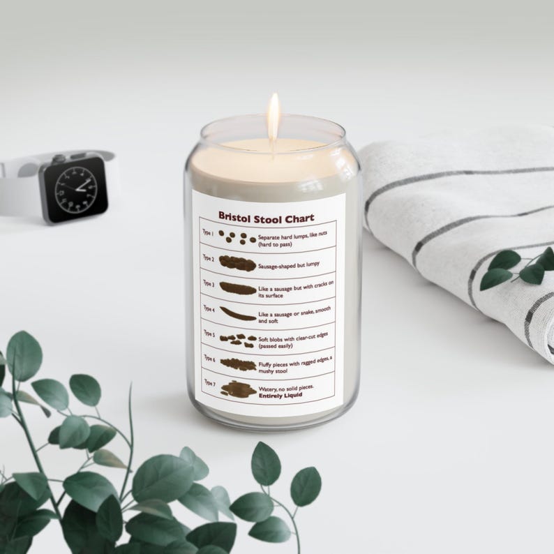 Bristol Stool Chart Scented Candle - Poop Chart - Bathroom Candle ...