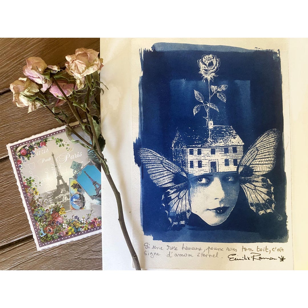 Cyanotype "the Flight"-original Creation by the Artist Emilie Ramon - Etsy