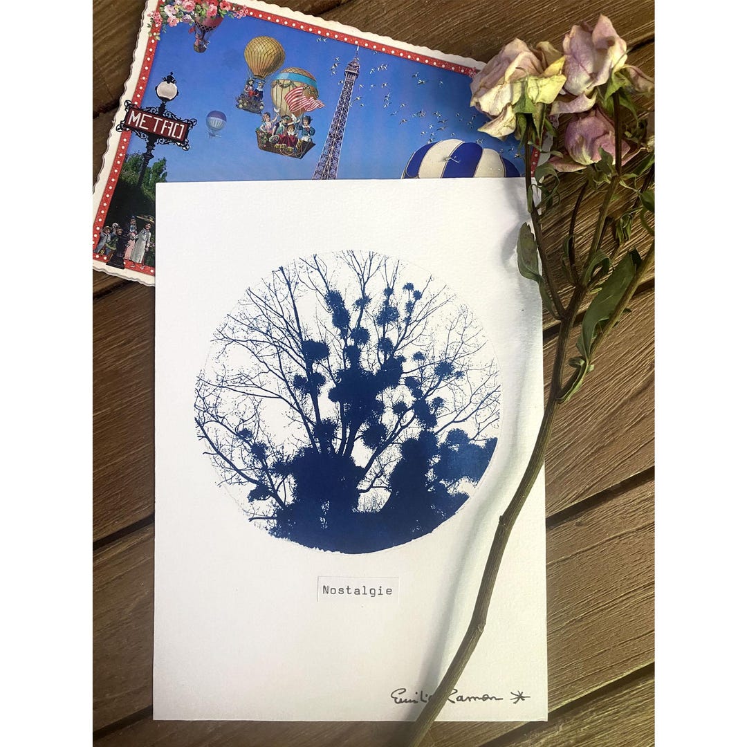 Cyanotype "nostalgie" Tree's Poetry-original Piece - Etsy