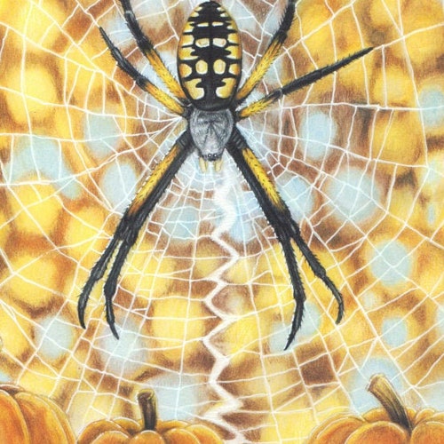 Autumn in the Air Yellow Orb Weaver Garden Spider With - Etsy