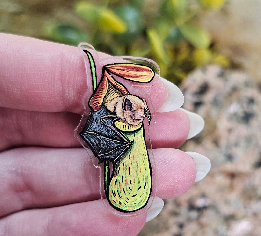 Acrylic Pin - Hardwickii Wolly Bat in a Pitcher Plant - Made With Recycled Materials - Bats ...