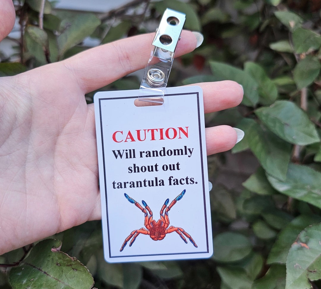 Arachnid Expert Badge - Caution Will Shout Out Tarantula Facts Tag ...