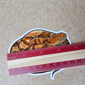 Copperhead Snake Sticker 3.75 Inch Glossy Sticker Reptile Snake Art ...
