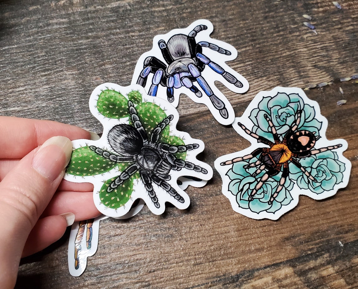 Tarantula Sticker Pack 4 Glossy Waterproof 2.75 Inch - Etsy