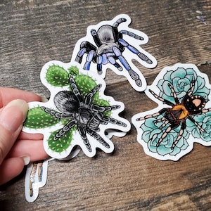 Tarantula Sticker Pack - 4 Glossy Waterproof 2.75 Inch Stickers - OBT G ...