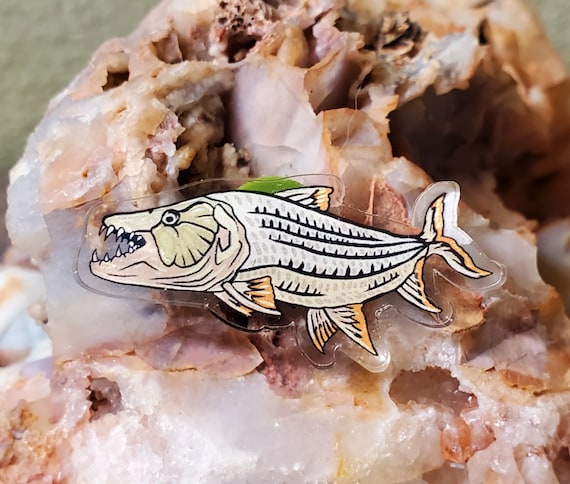 River Monsters African Tiger Fish