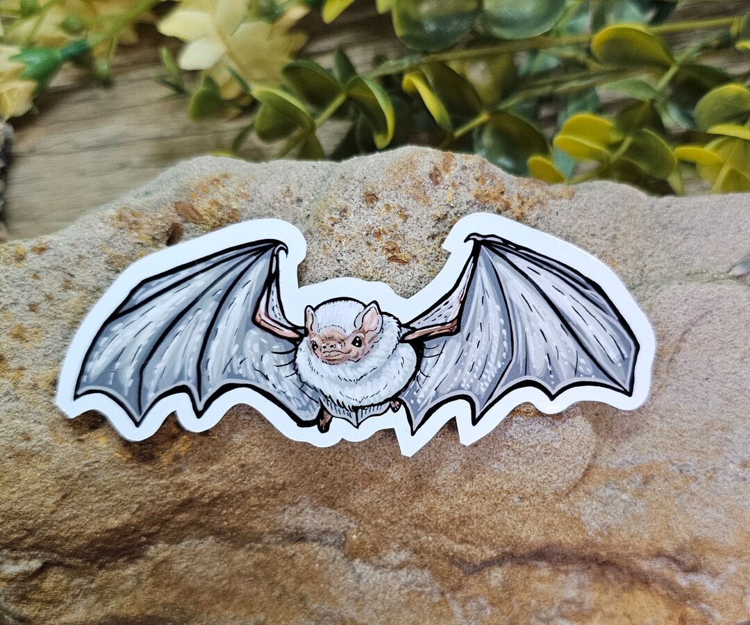 Northern Ghost Bat Sticker: 4" Glossy Waterproof Vinyl - Etsy
