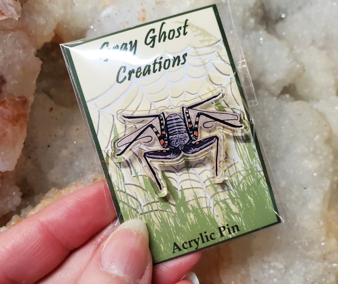 Acrylic Pin Tailess Whip Scorpion Made With Recycled - Etsy