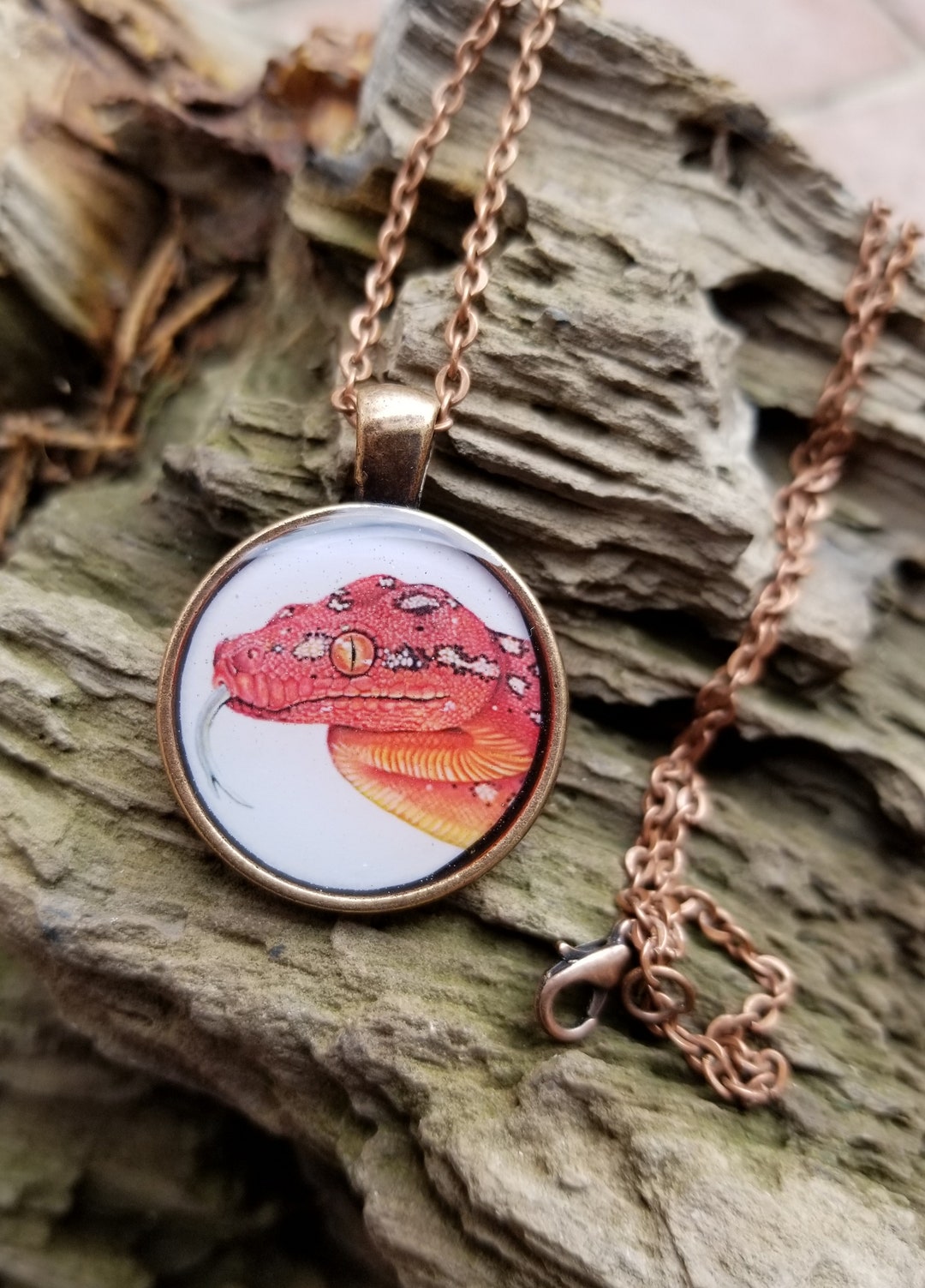 Baby Red Green Tree Python Portrait - Snake Reptile Drawing- Handmade ...