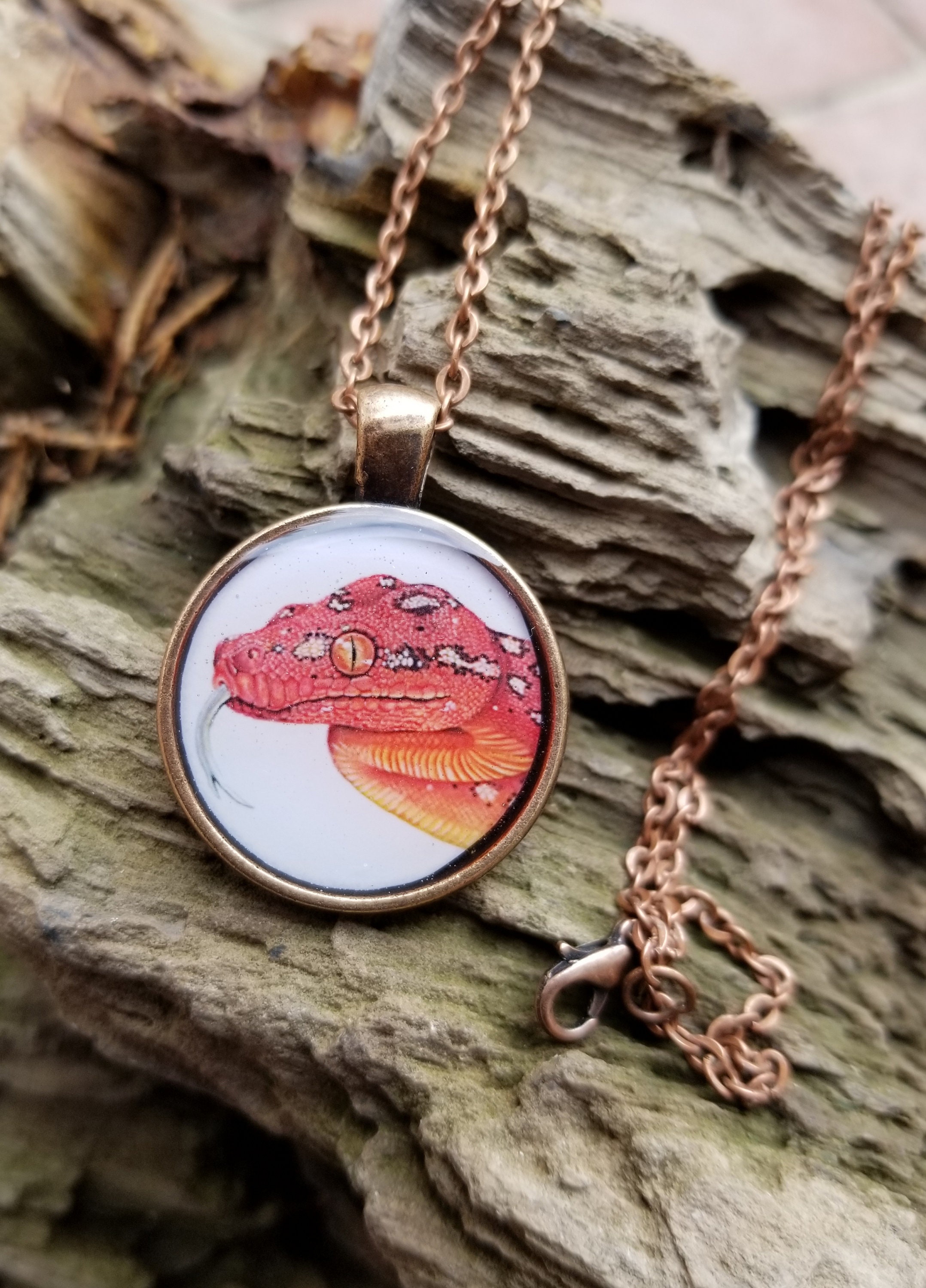 Baby Red Green Tree Python Portrait Snake Reptile Drawing | Etsy